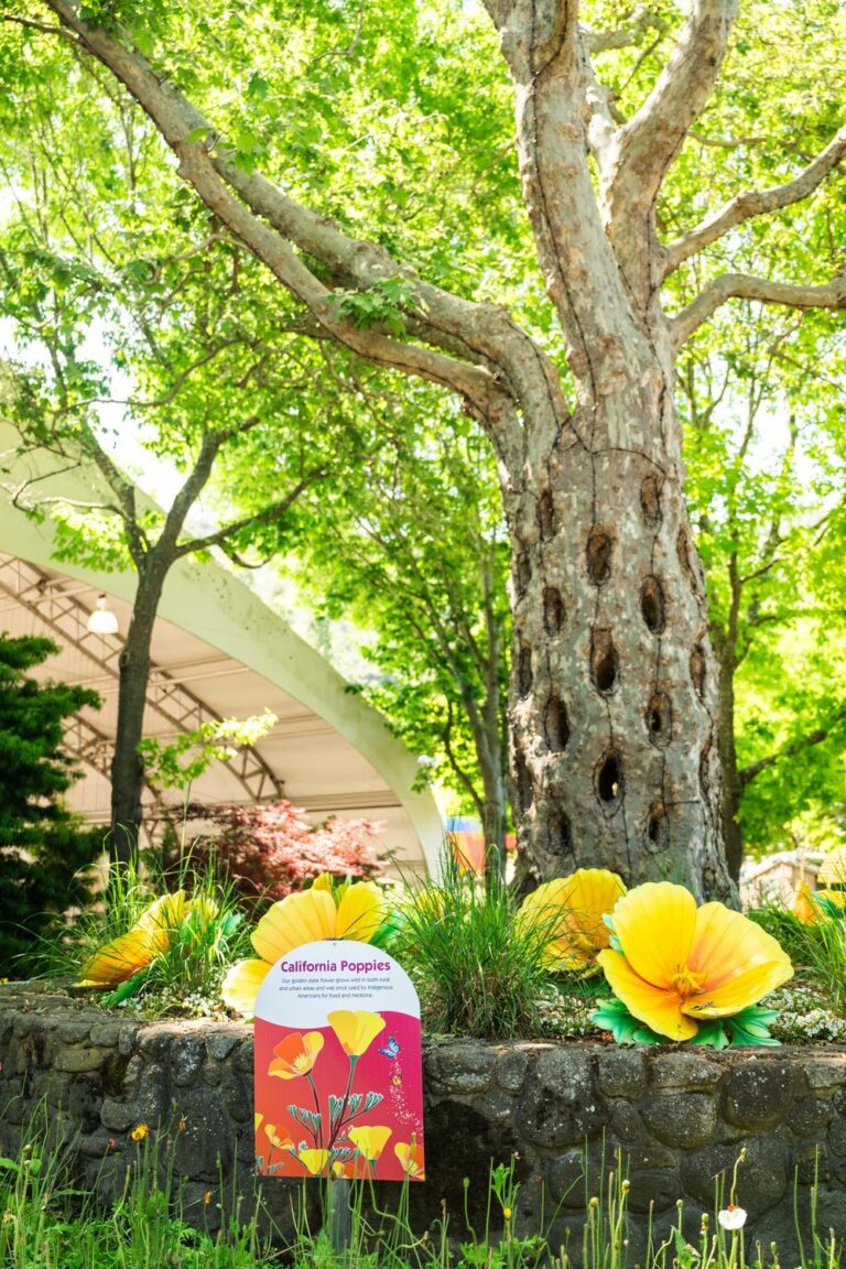 A Theme Park All About Produce? Welcome to Gilroy Gardens! - Experience ...