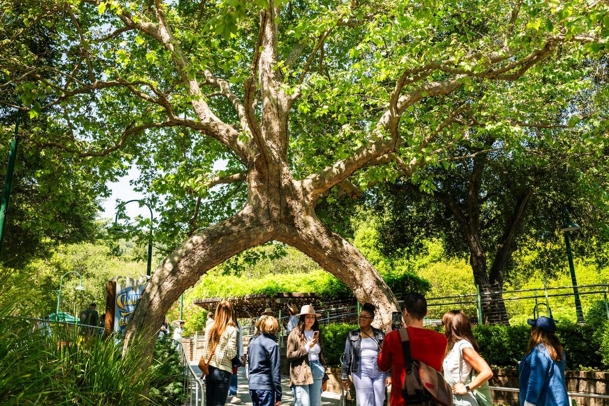 A Theme Park All About Produce? Welcome to Gilroy Gardens! - Experience ...