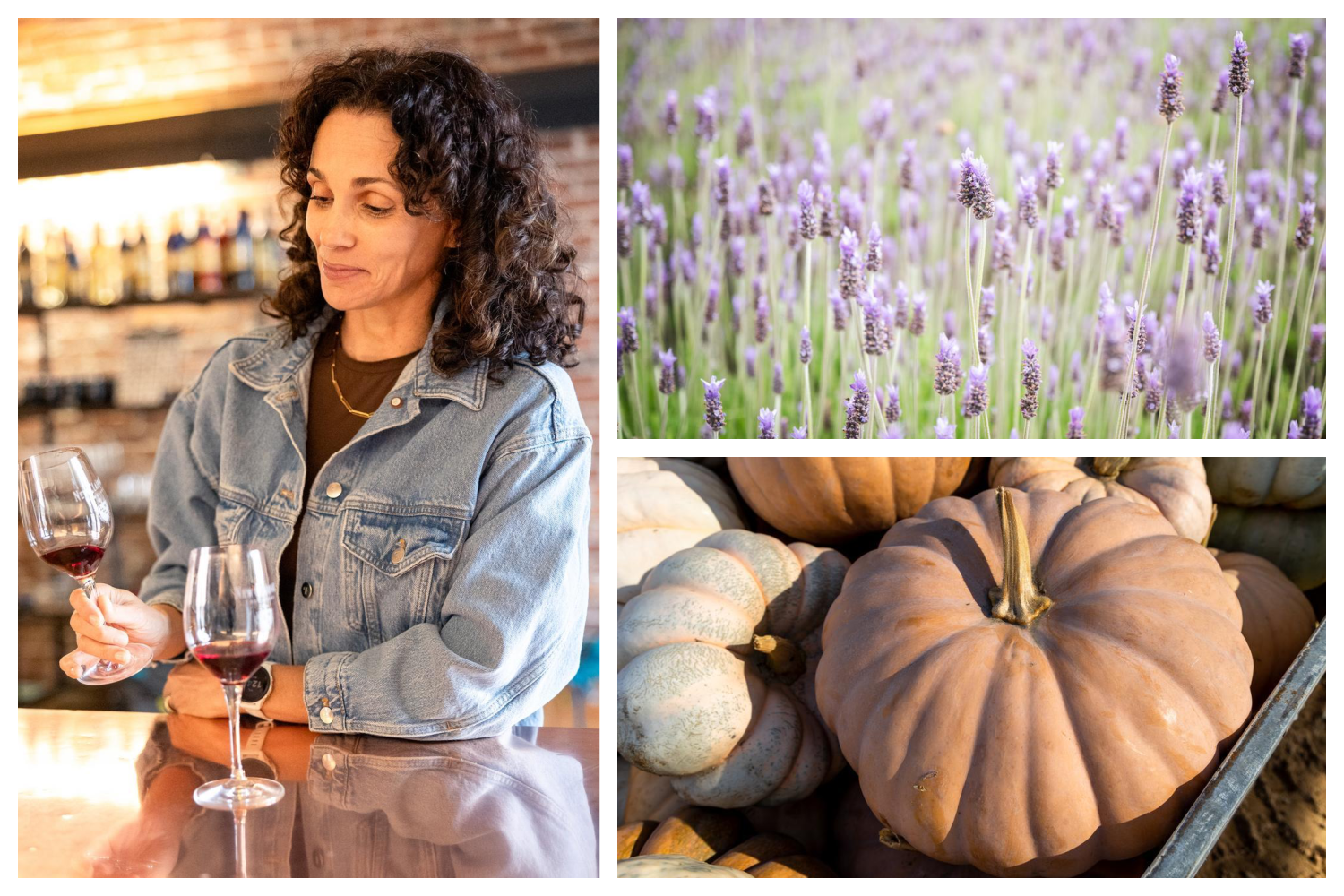10 Far Northern California Farms to Add to Your Bucket List ...