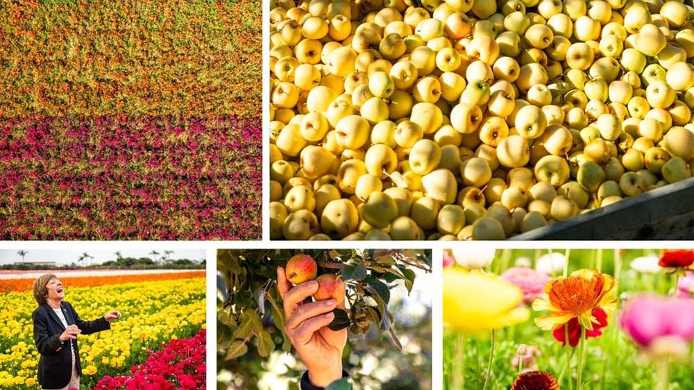 5 Immersive Farm Tour Experiences in San Diego County - Experience ...