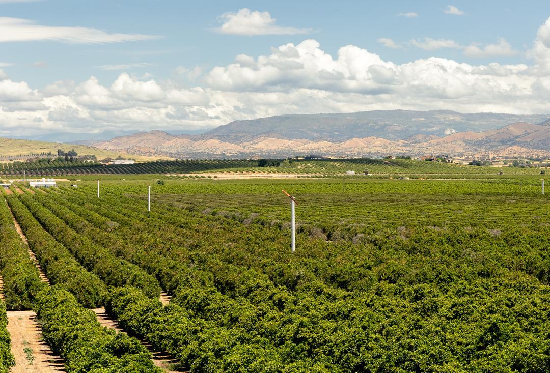 Rooted in Nature: Farm Camping Getaways in Central California ...