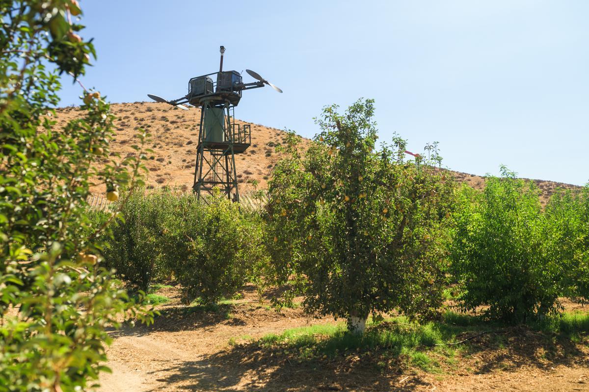 Your Guide to Visiting Bloom Ranch of Acton - Experience California Agriculture